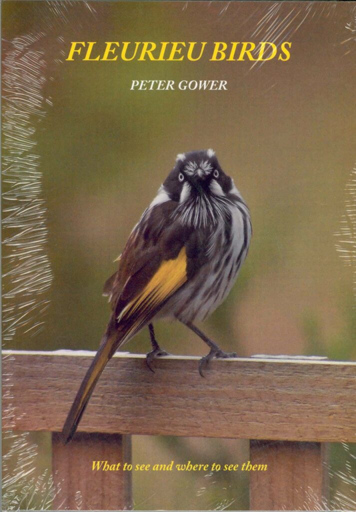 Kangaroo Dundee Hawker Visitor Information